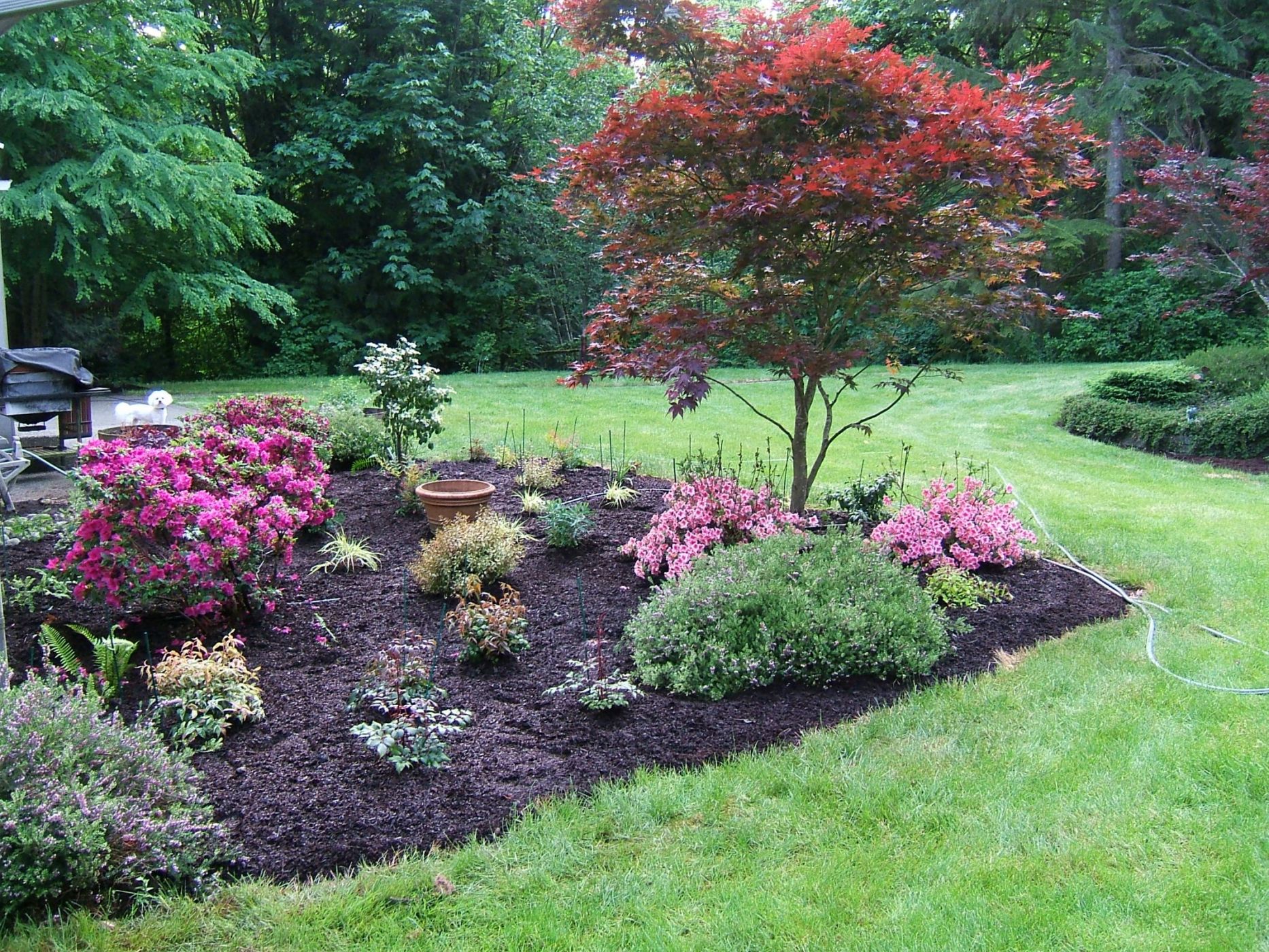 0605200039 | Sublime Garden Design | Landscape Design Serving Snohomish ...