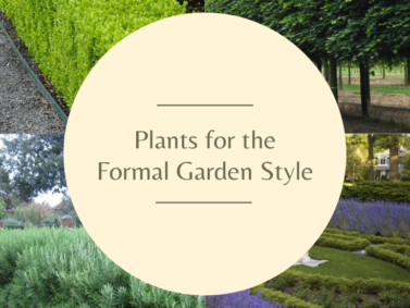 Plants-for-the-Formal-Garden-Style | Sublime Garden Design | Landscape ...